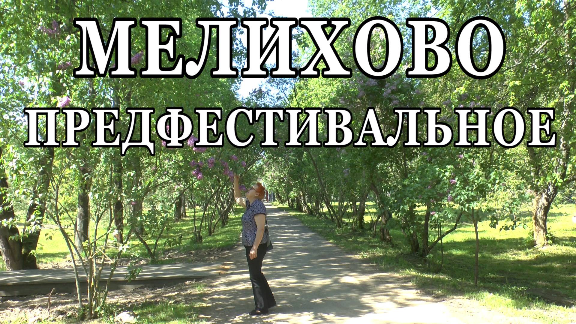 Мелихово предфестивальное