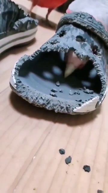 Я дизайнер, я так вижу