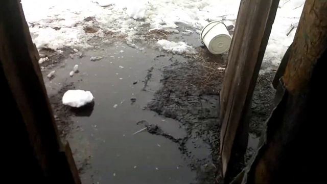 Затопило сараи и не много про рассаду.