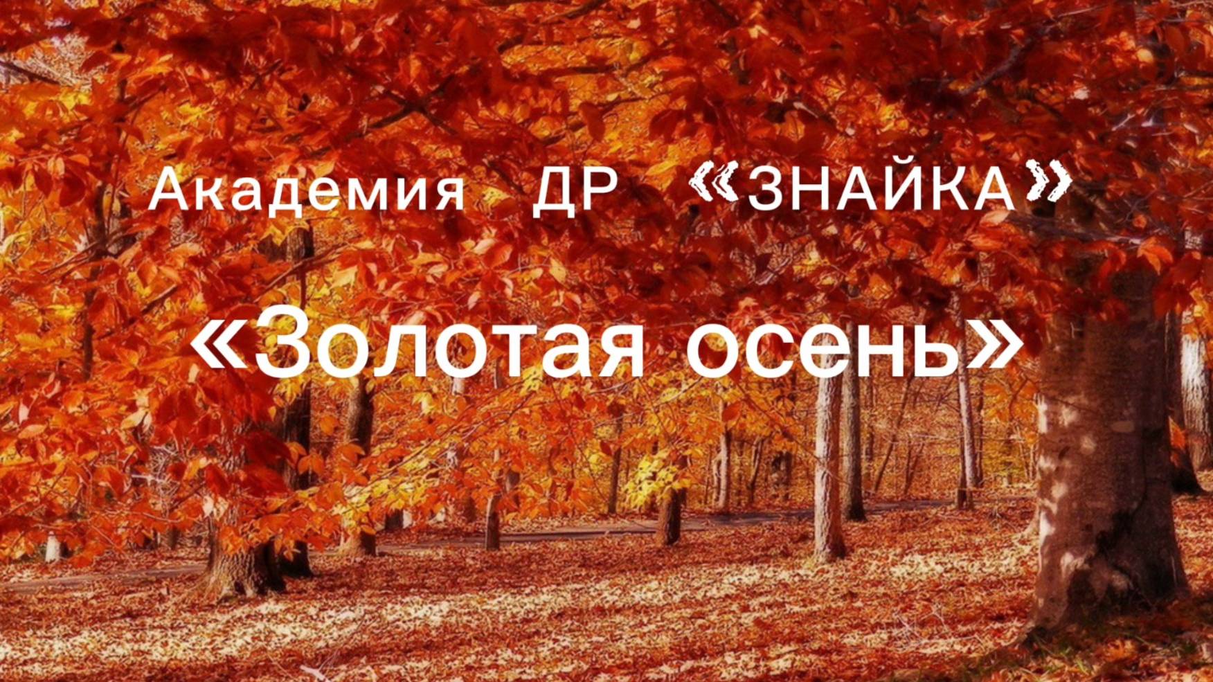 🚗 Золотая осень - 2024. Детский сад «Знайка»