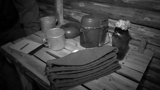 Страницы Победы: "За того парня" исполняет Вадим Зеленский