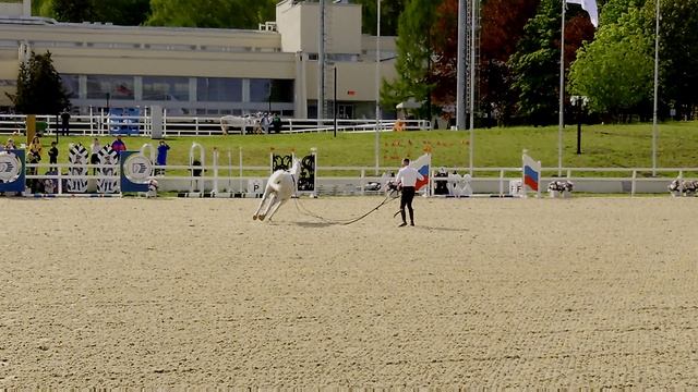 Эквирос 2025_2