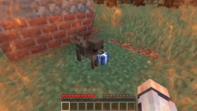 СОБАЧКА (MrLololoshka мем)