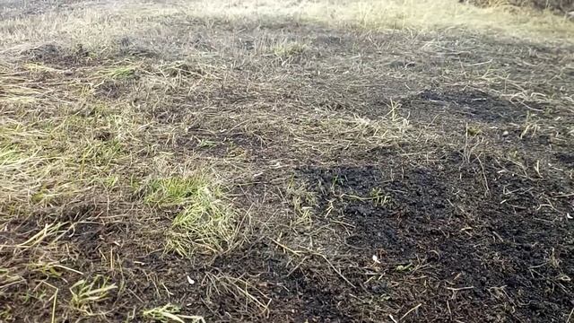 Готовим участок к сезону посадок.