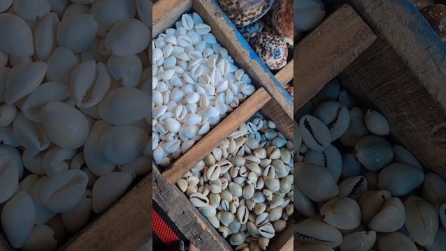 Джаганнатха Пури