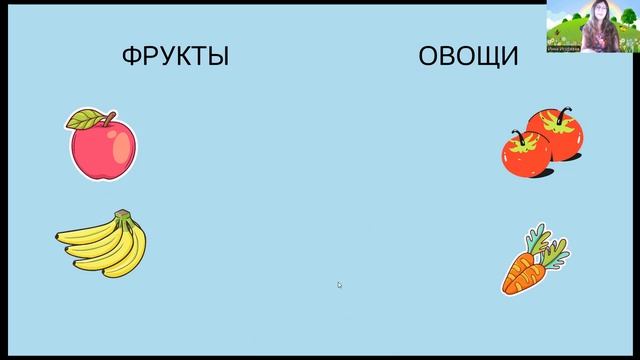 Группировка предметов по признакам – развитие логического мышления через игру