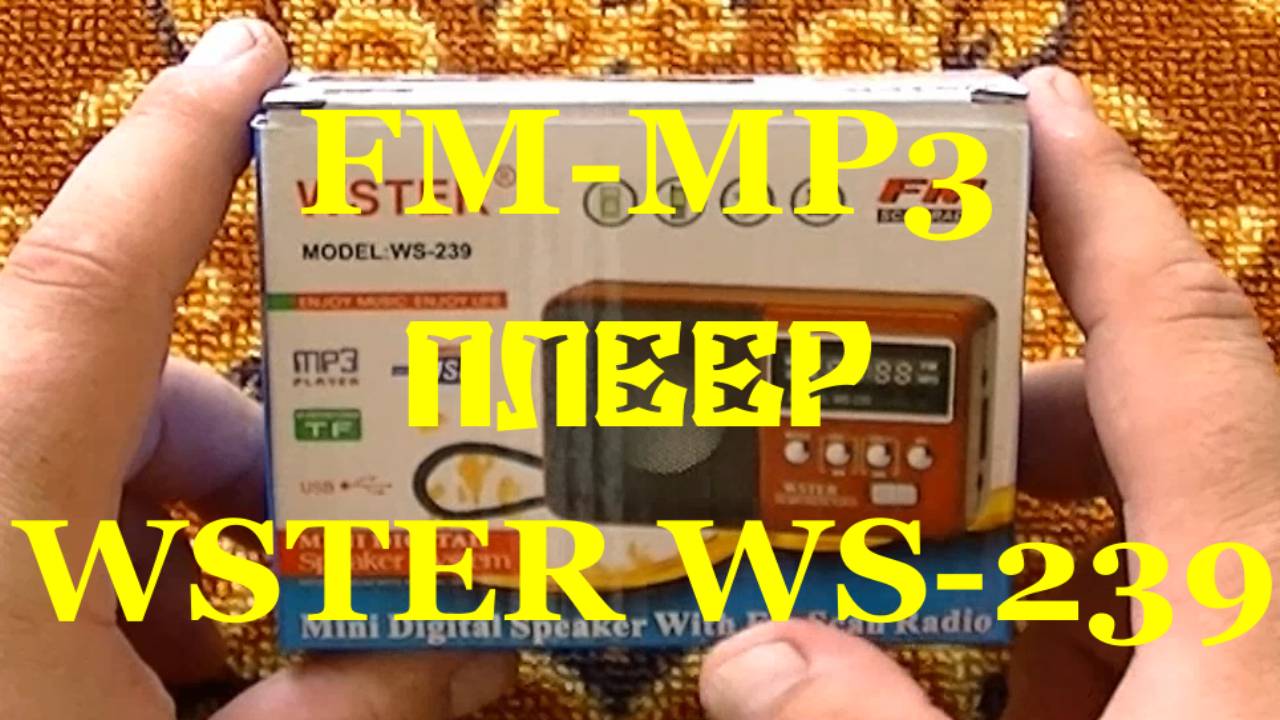 FM-MP3 ПЛЕЕР WSTER WS-239