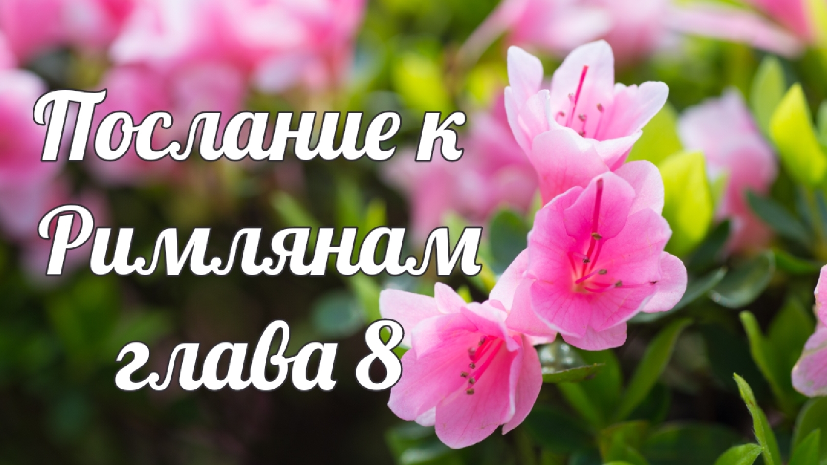 Послание к Римлянам глава 8