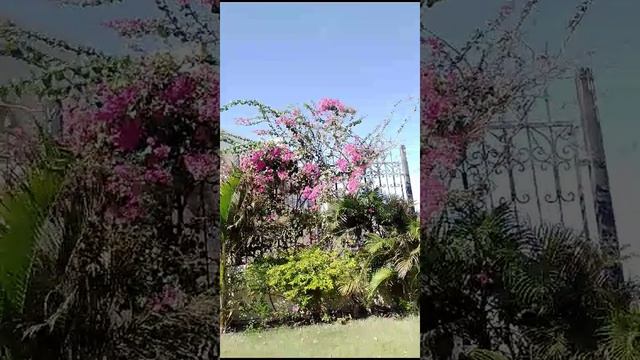 МОЙ ЕГИПЕТ. КРАСНОЕ МОРЕ. ХУРГАДА