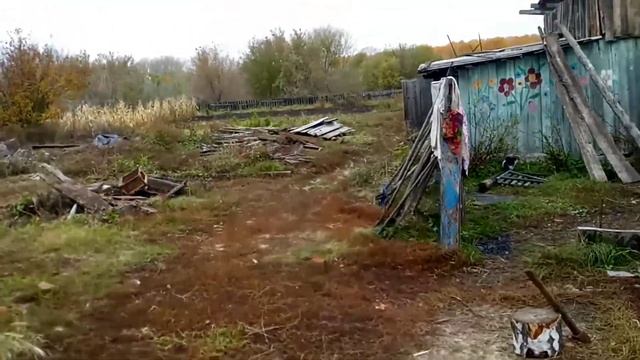 Готовим землю к зиме!