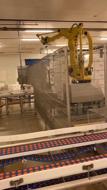 Робот Паллетайзер