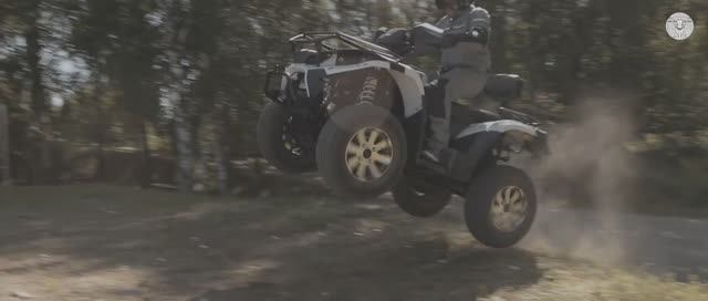 Linhai LH40D - Tesla квадромира. Тест-драйв и обзор электрического квадроцикла от Дениса Панфёрова