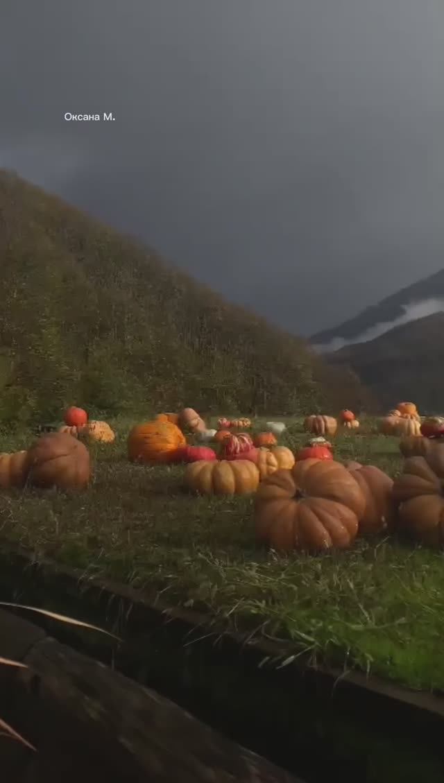 Сочи. Красная поляна. Роза Хутор