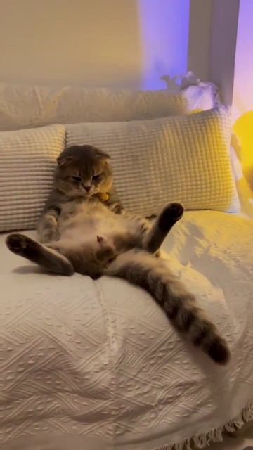 Заскучал 🫣