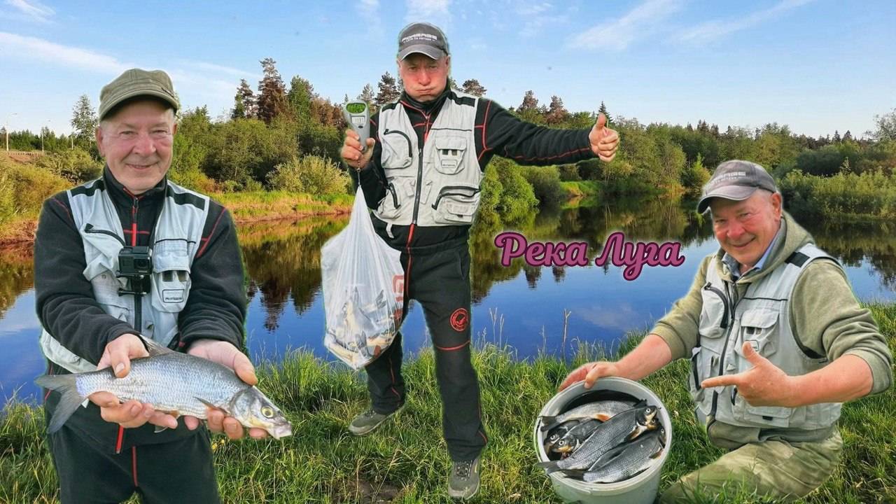 Сырть, Рыбец, Вимба. Красивая река Луга. Первый день лета и удачная рыбалка на Фидер.