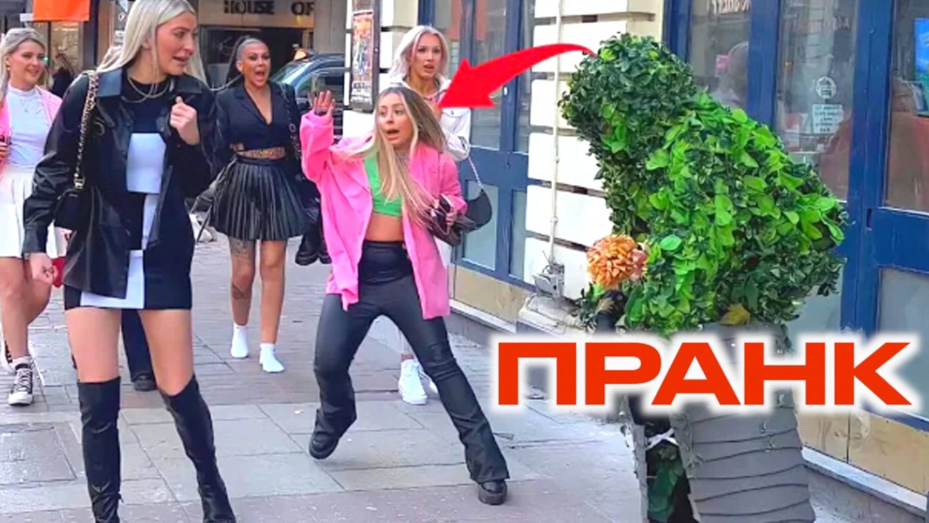 Бушман Пранк / Приколы над людьми