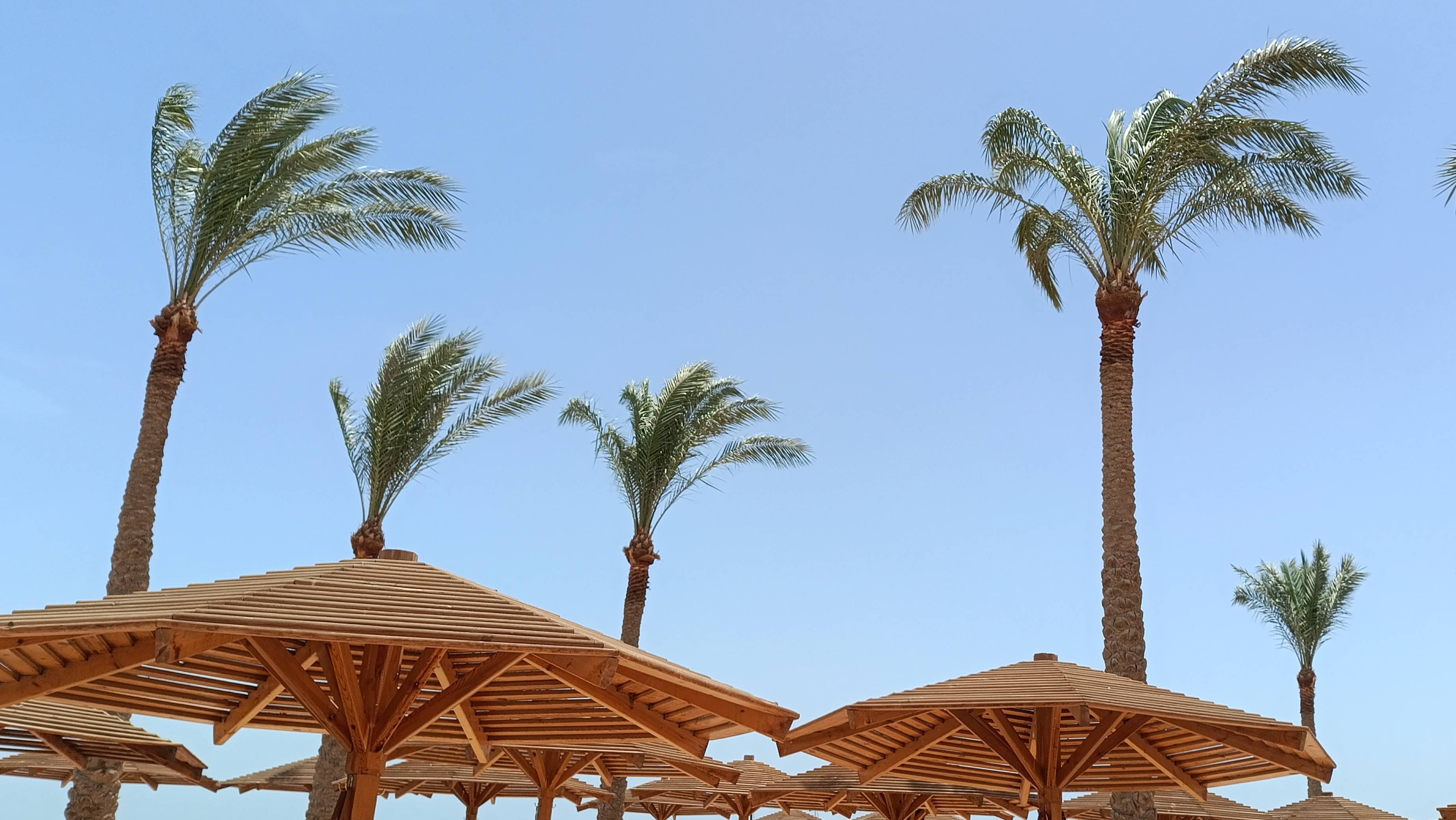 Египет Хургада видеозарисовка к пляжу отеля Steigenberger Aqua Magic