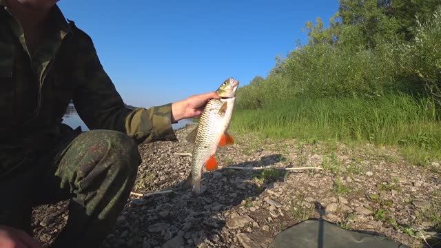 Рыбалка на реке Белая  фидер в августе