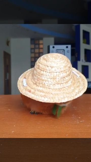 Перекусить