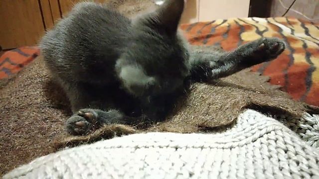 Не отвлекайте меня. Я умываюсь