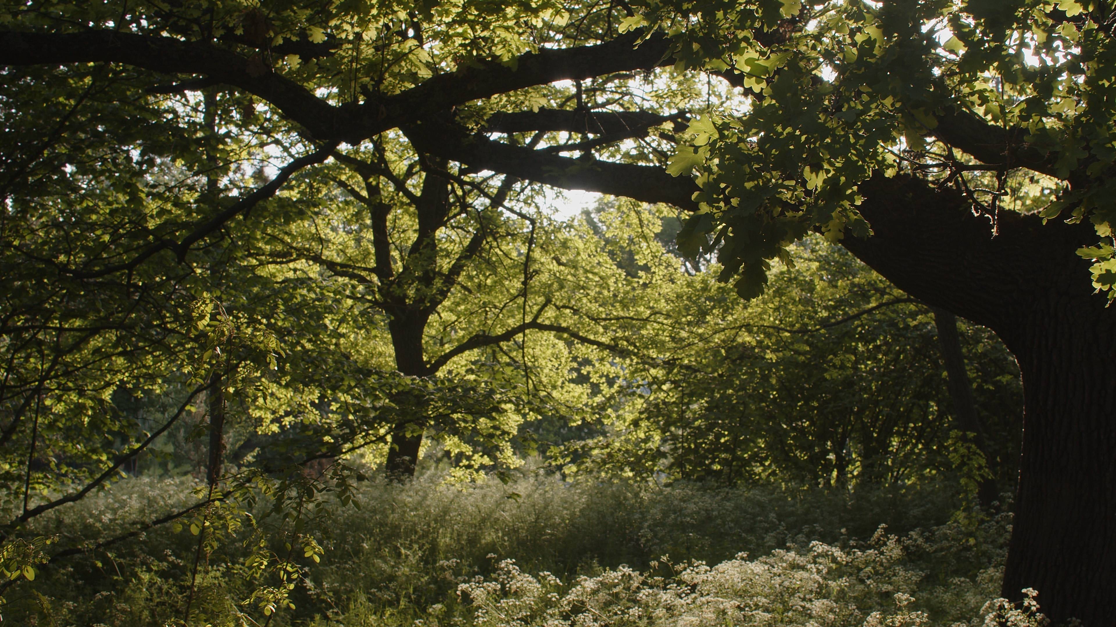 Как перестать конкурировать со всем миром - Аффирмация