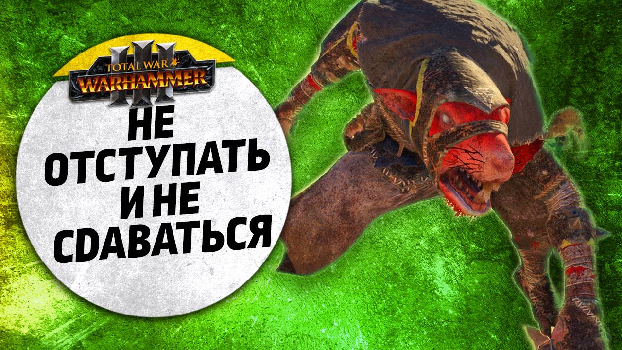 Не отступать и не сдаваться | Темные Эльфы vs Скавены | Ленды | Total War: WARHAMMER 3