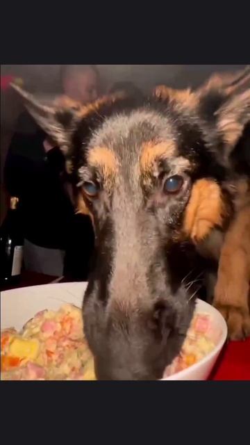 Ммм, салатик