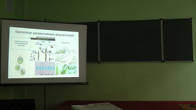 Альгология и микология
