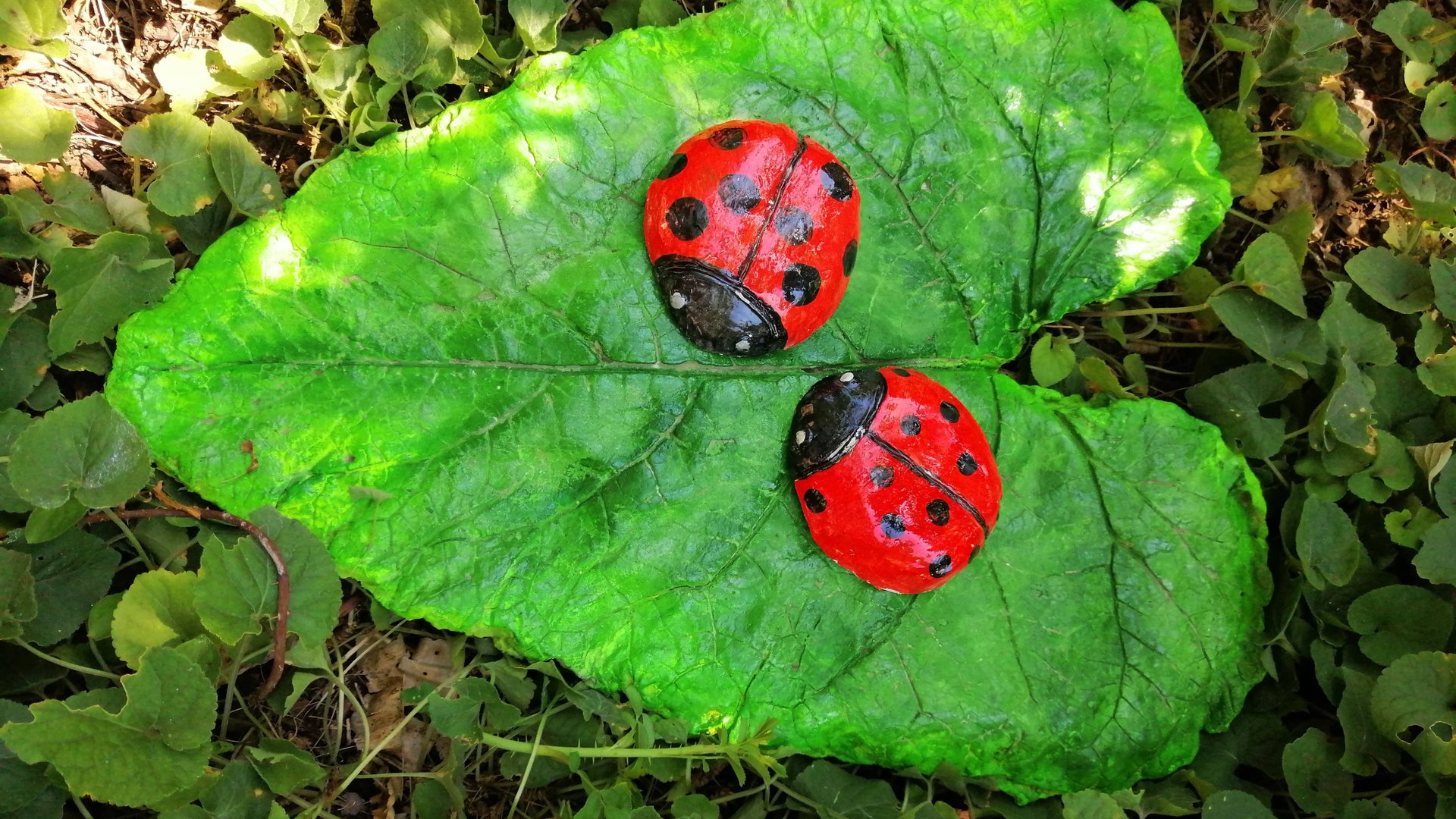 Тонкий лист из цемента для украшения клумбы