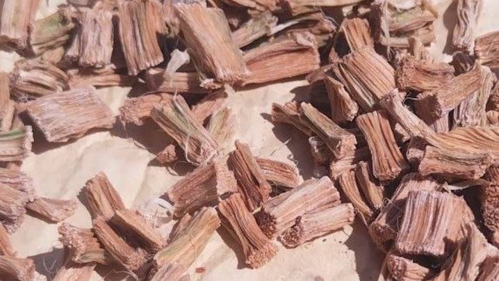 Как высушить ревень?