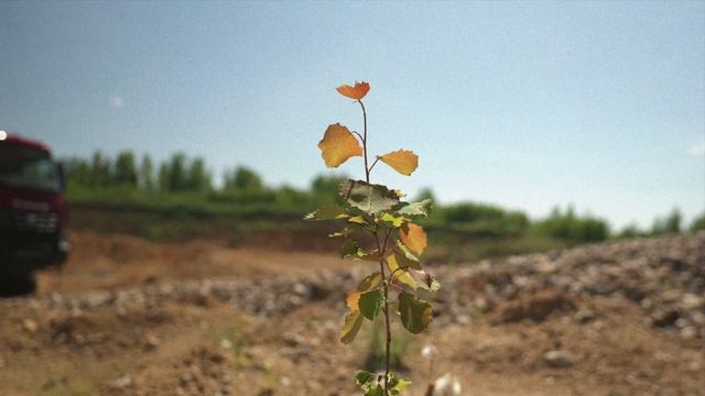 Тест-драйв самосвалов КАМАЗ К5