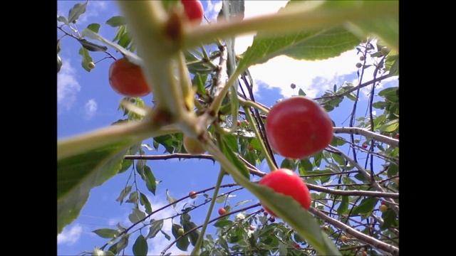 Фотки этого лета. Слайдшоу.