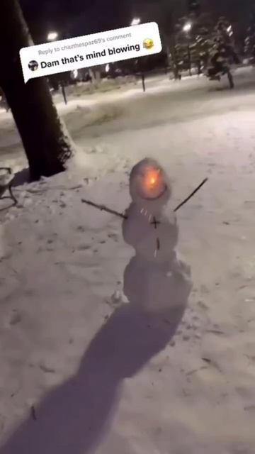 Геноцид снеговиков!