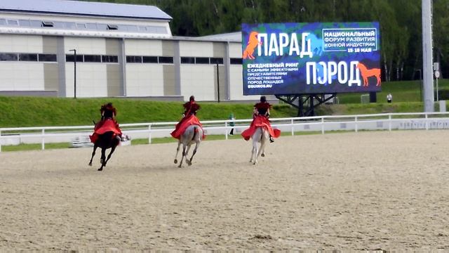 Эквирос 2025_10