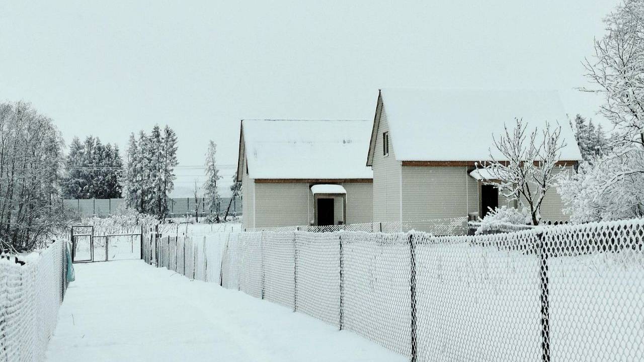 Шпаньково 02-2025