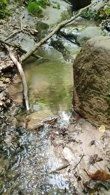 Дантово ущелье