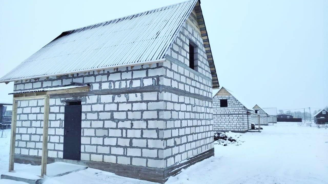 Клопицы 02-2025