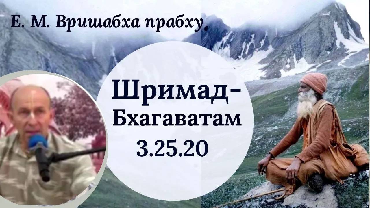 ШБ 3.25.20 / Е.М. Вришабха прабху