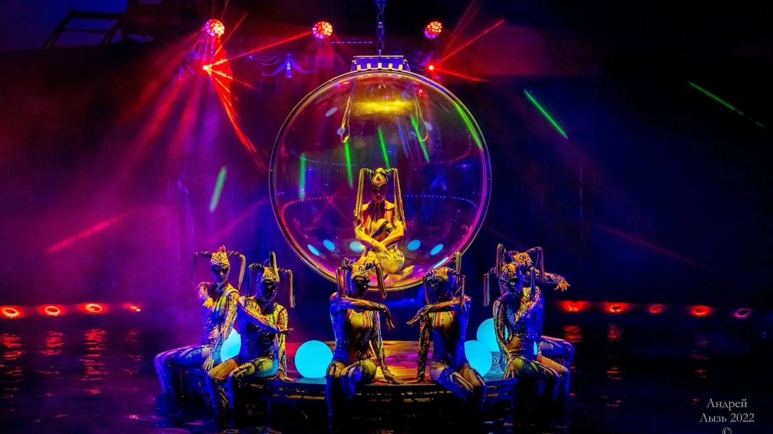 Цирк на воде (Шевченко шоу)