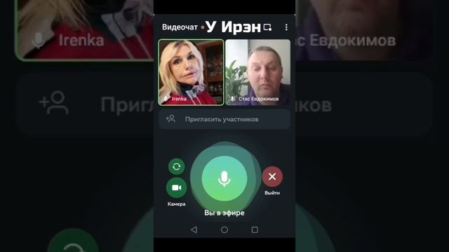 Видеочат у Ирэн знаменитый исследователь Станислав Евдокимов. Обсуждение экспертиз