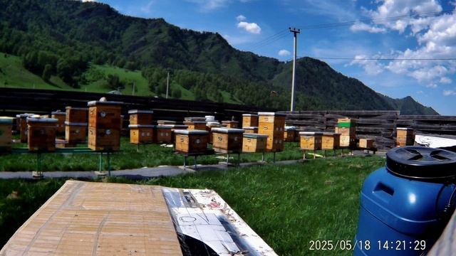 2025_0518_141630_047