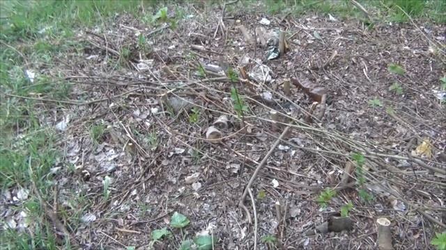 1 мая 2020г Берег ББ уборка