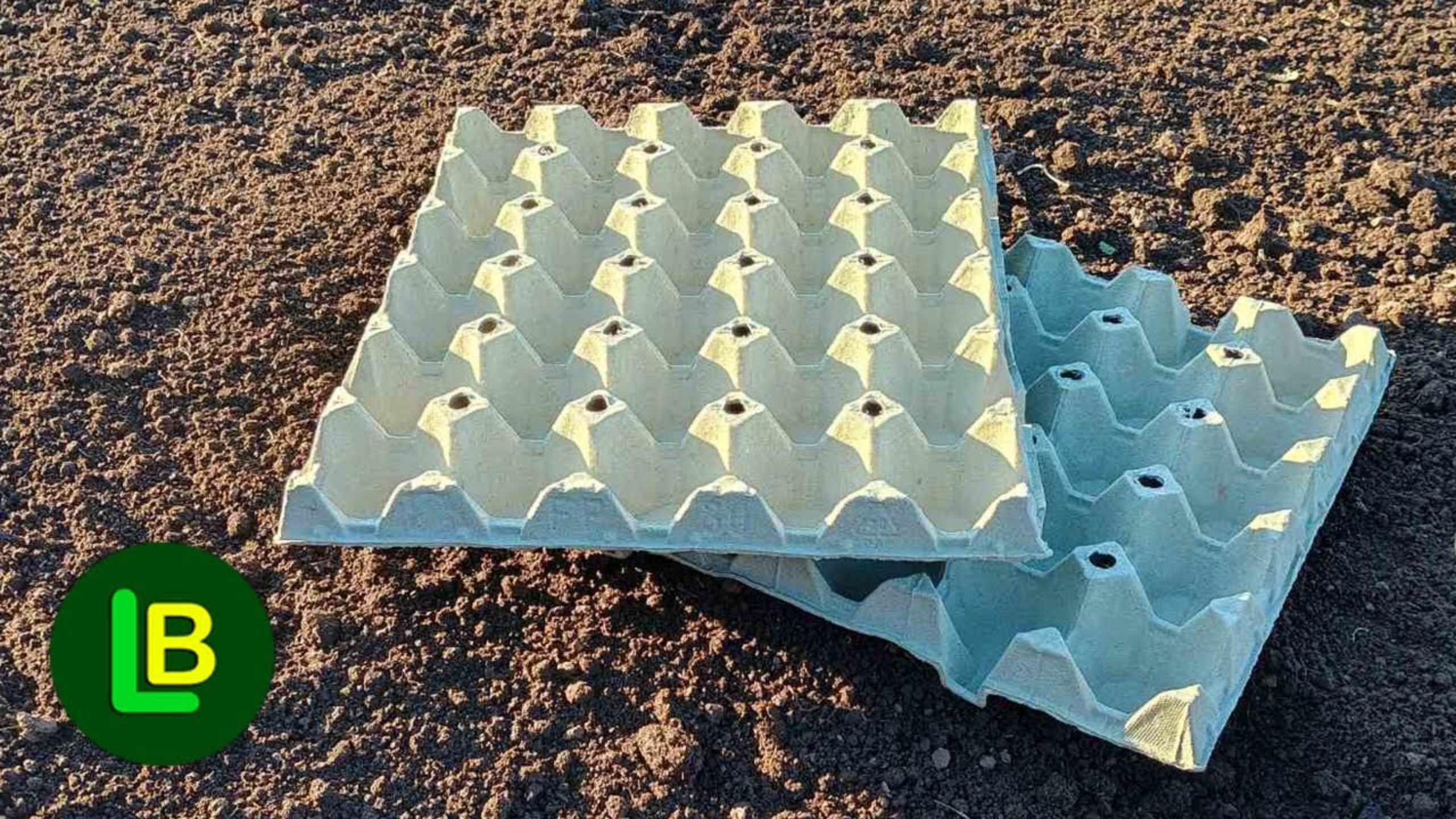 Не выбрасывайте картонные коробки из-под яиц. Нет ничего лучше для посева