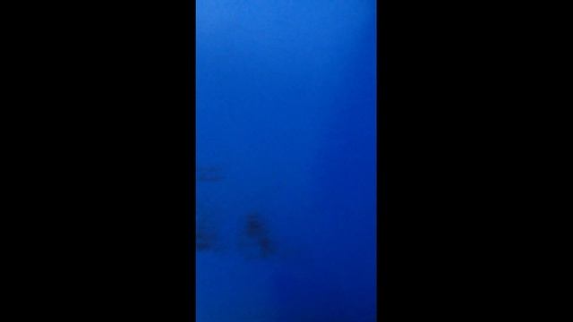 FORTAN pyrolysis plant | Eco-friendly recycling process.