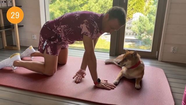 КОМПЛЕКС 9 МИНУТ