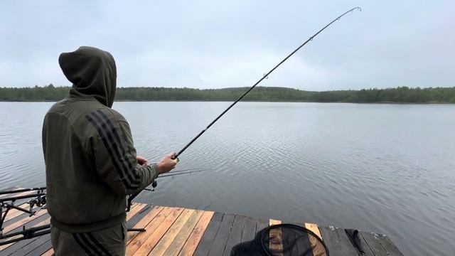 🔥 Ловля КАРПА в Беларуси: ТОП-5 мест + секретные прикормки (Поймал трофей на 8 кг!)