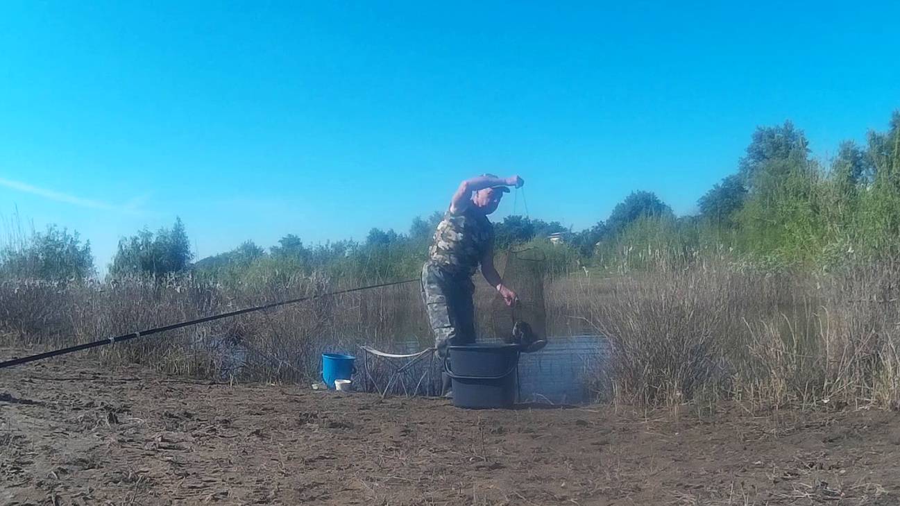 За карасем в затон от реки Ахтуба с утра по раньше.