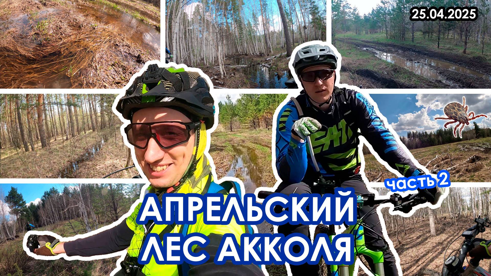 Апрельский лес Акколя (бывш. Алексеевки) (часть 2)