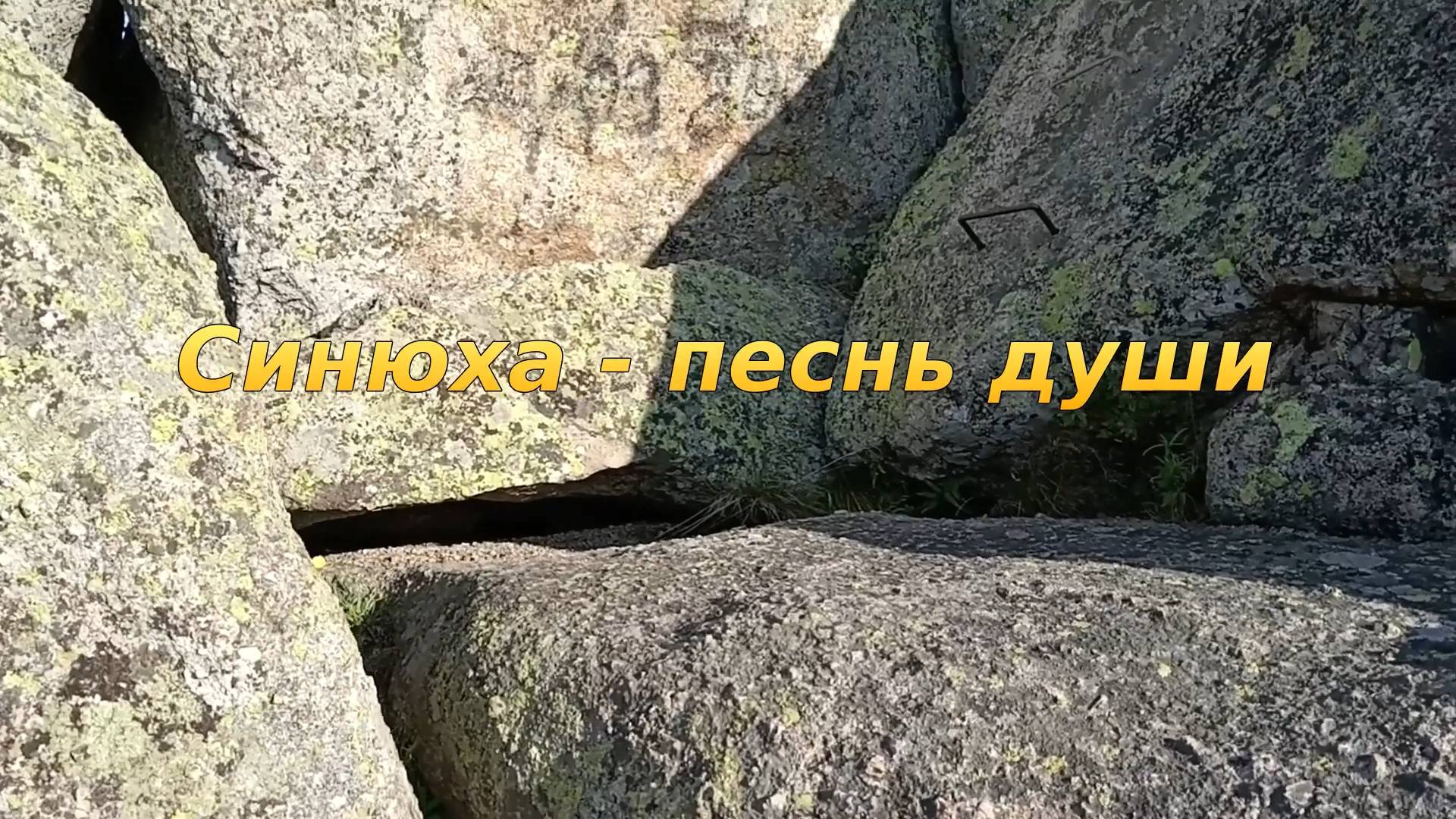 Синюха — песнь моей души | Финальная баллада о горе | Любовь к Алтаю в музыке