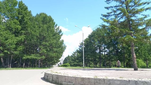 покатушки в парке. на инвалидном кресле.